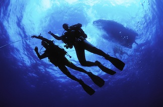 ROV / Diver Tracking | Houston, Texas USA